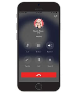 ESI eSIP Evolution Series™ & ESI eSaaS™ On-Premises Solutions