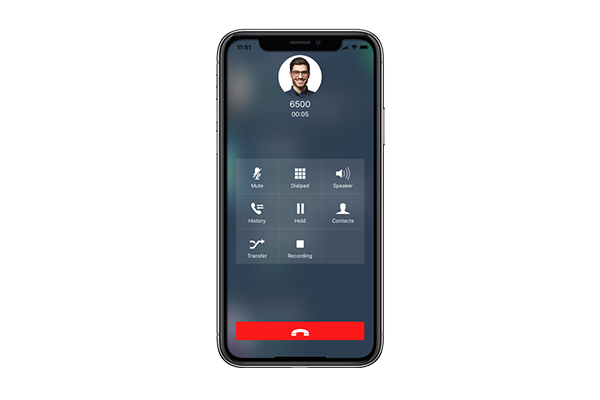 ESI Phones & Calling Apps with ESI Intellitouch™