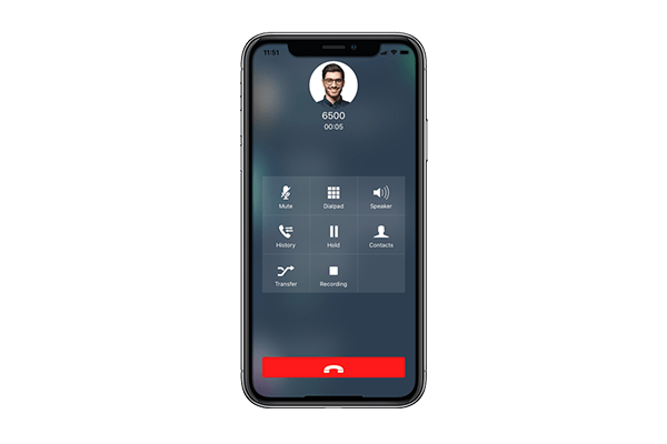 ESI Phones & Calling Apps with ESI Intellitouch™