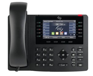 ESI eSIP Evolution Series™ & ESI eSaaS™ On-Premises Solutions